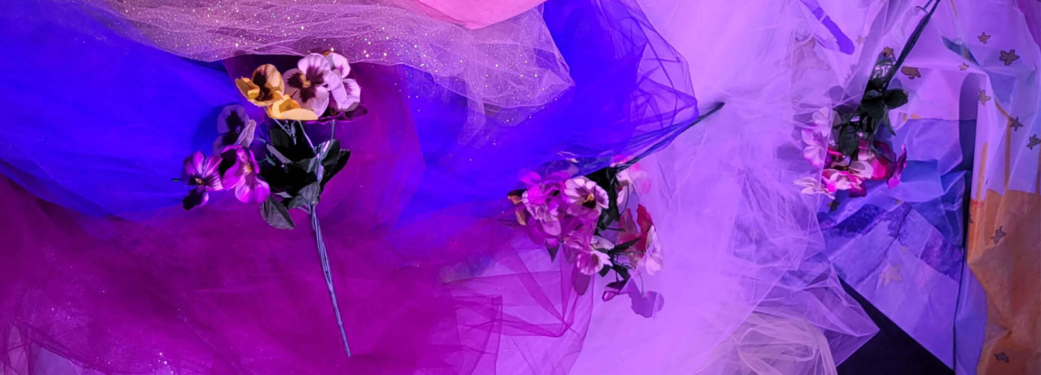 Ballet Academy | Dance Studio | Vancouver & Toronto | Goh Ballet